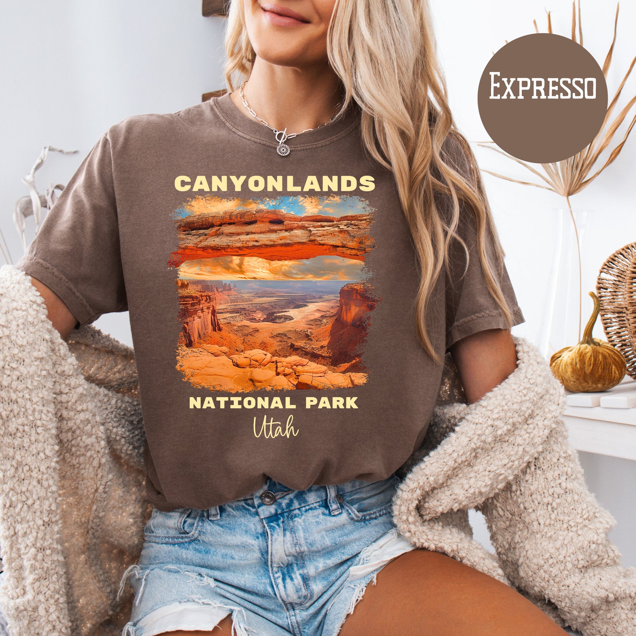 Canyonlands National Park at Sunset Comfort Colors® Tee